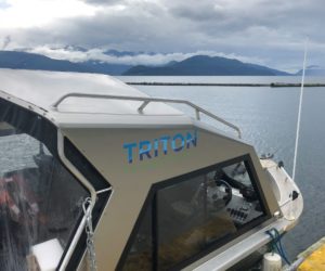 Triton Environmental Consultants | Bellrock, Consulting Firm